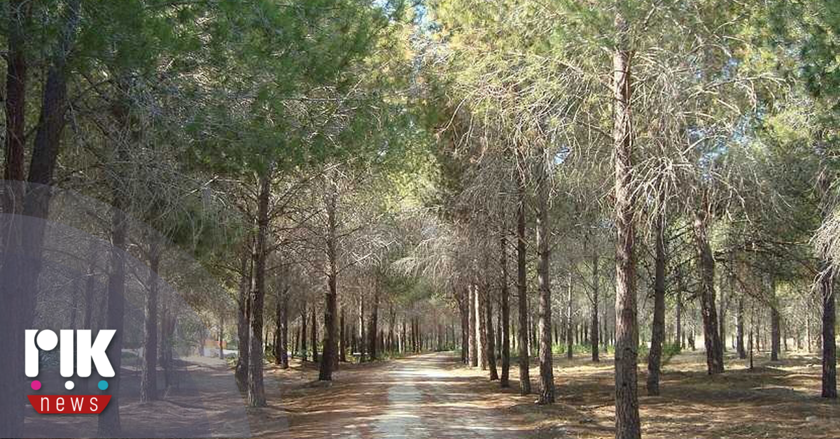 Απαγορεύεται η χρήση εργαλείων με σπινθήρες, σε συνθήκες καύσωνα ...