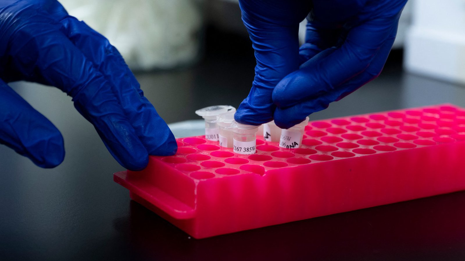 Μέσω DNA η ταυτοποίηση της γυναίκας που βρέθηκε νεκρή στη Λάρνακα
